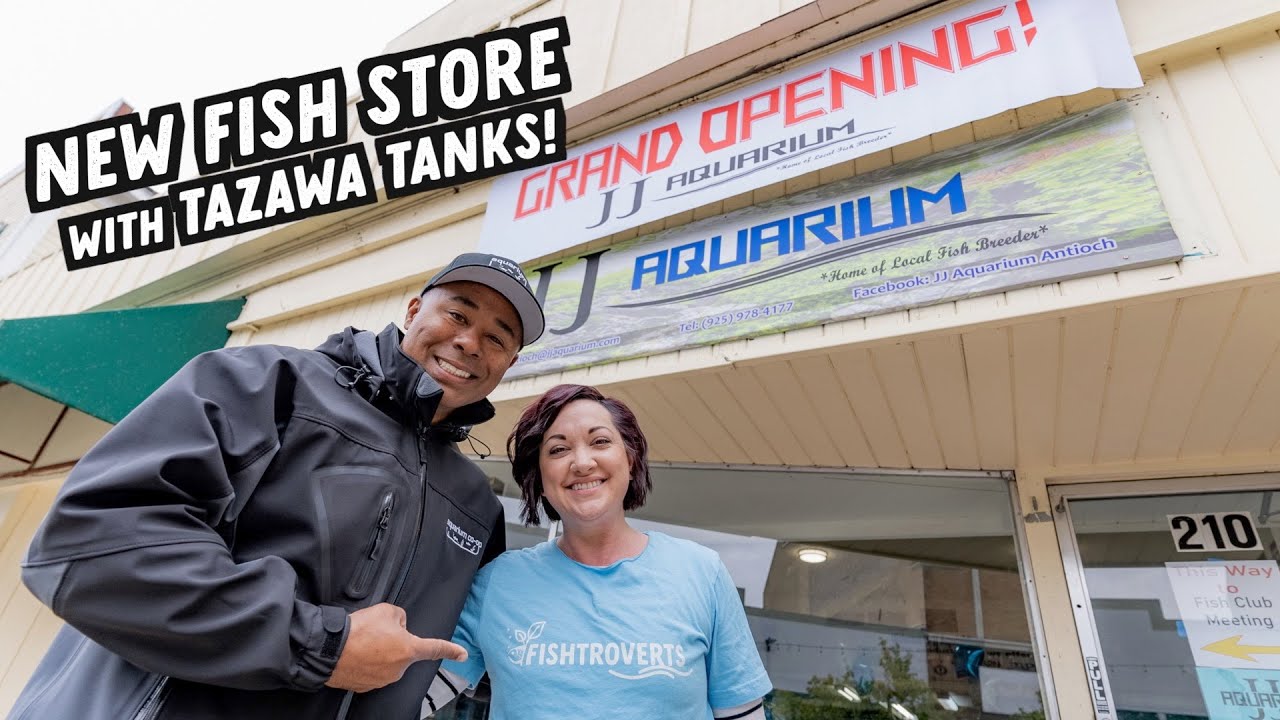 Local Fish Store GRAND OPENING with Tazawa Tanks - YouTube