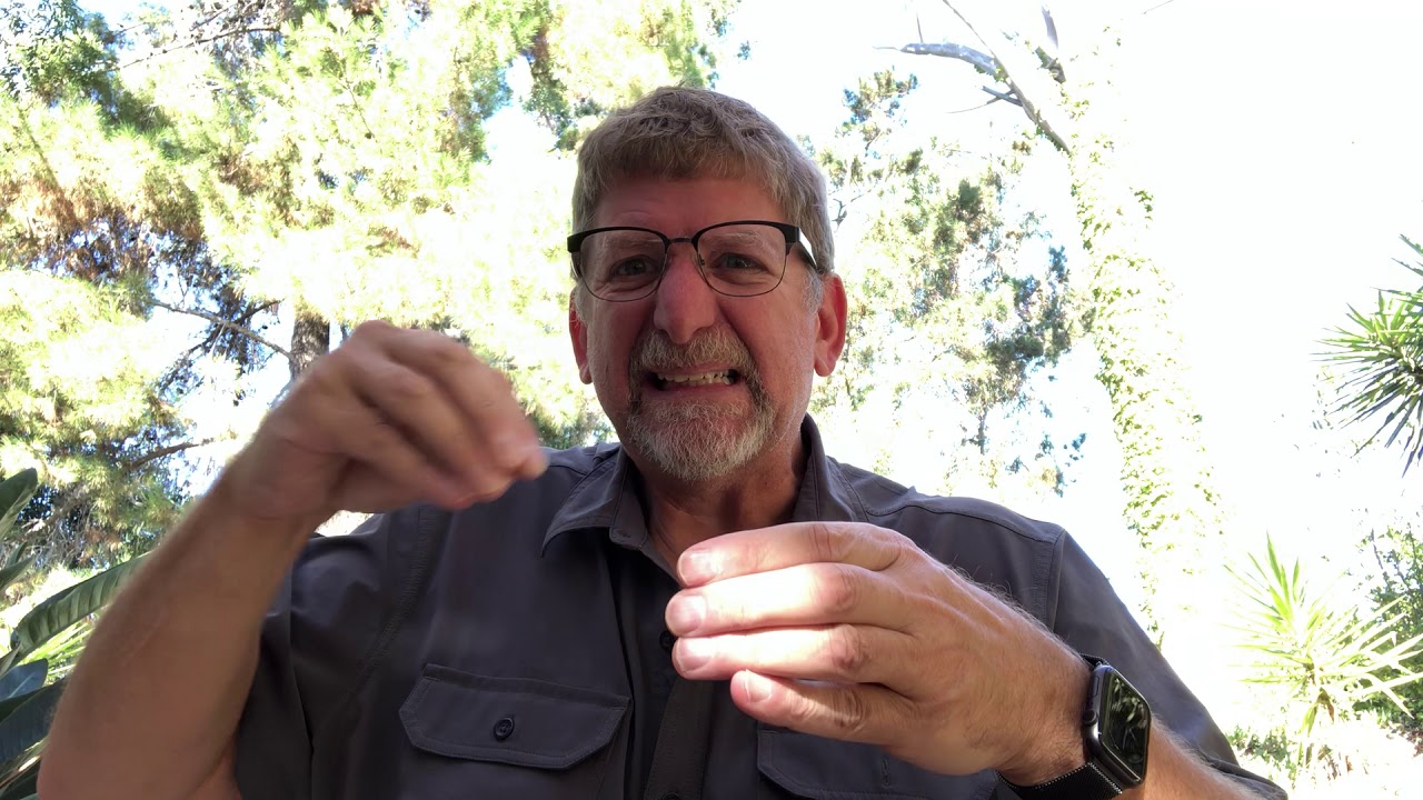 Emolument Clause Explained in ASL! - YouTube