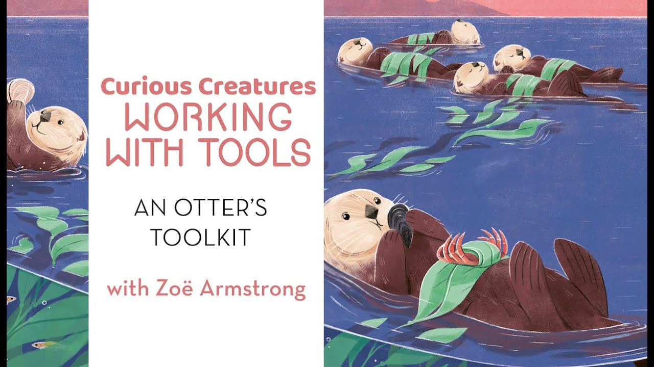 An Otter's Toolkit | Curious Creatures Working With Tools - YouTube