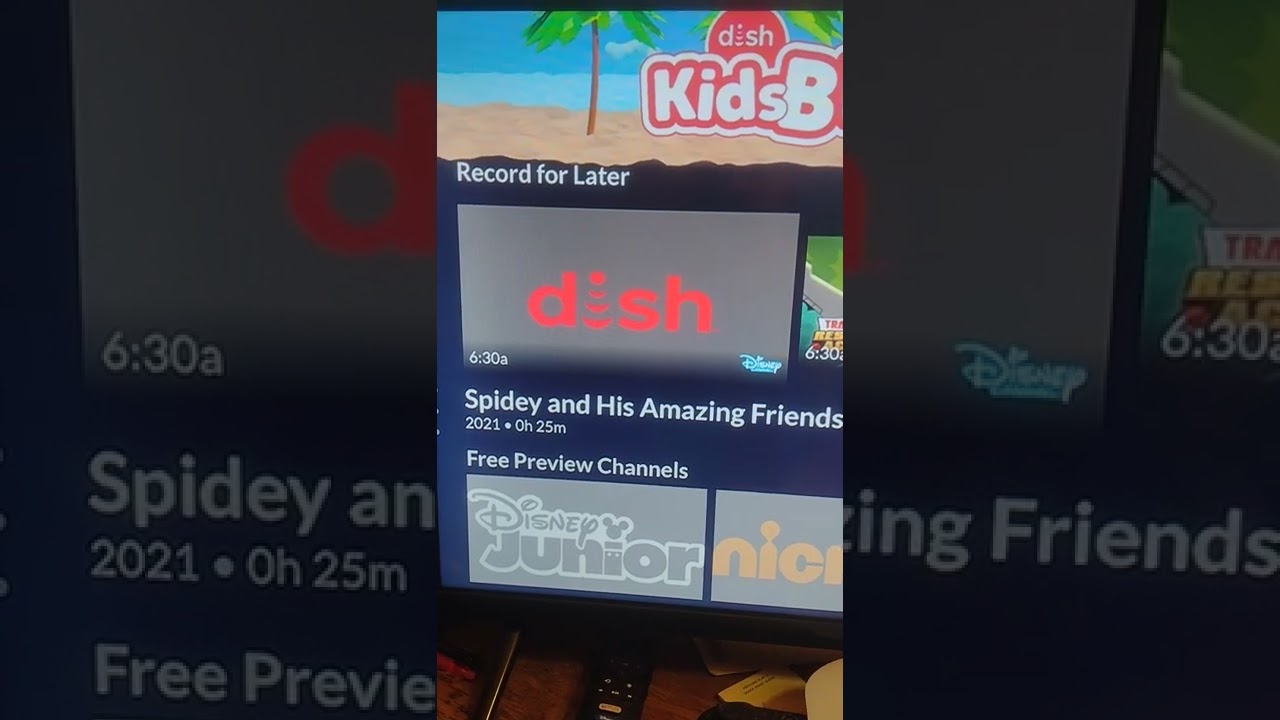 dish is on Disney channel?! (it's also on nick Jr I found out later ...