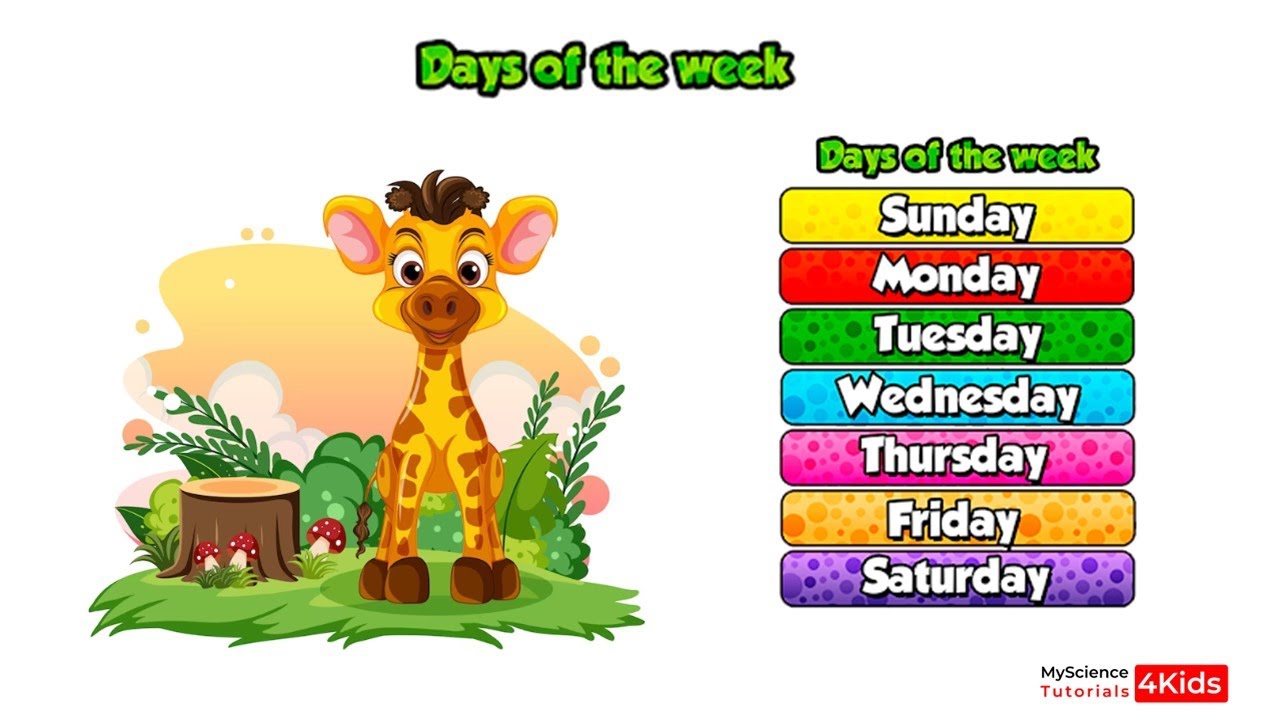 Days of the week | The 7 days of the week | Learn the names of the days ...