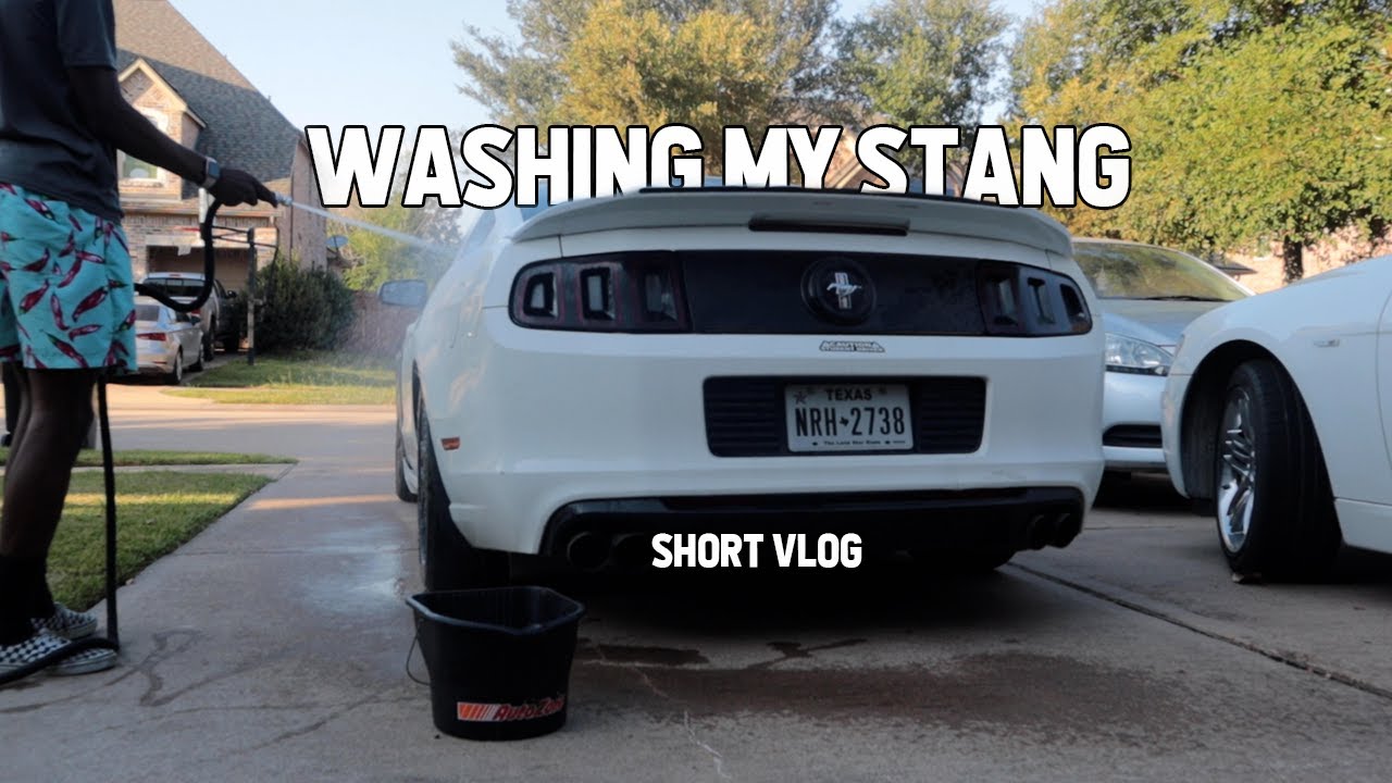Deep Cleaning a DIRTY Ford Mustang......Sitting in Sun!| New Paint On ...
