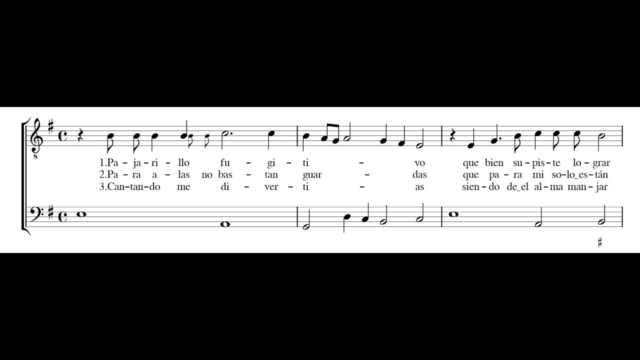 CODEX ZUOLA: Pajarillo fugitivo PDF SCORE - YouTube