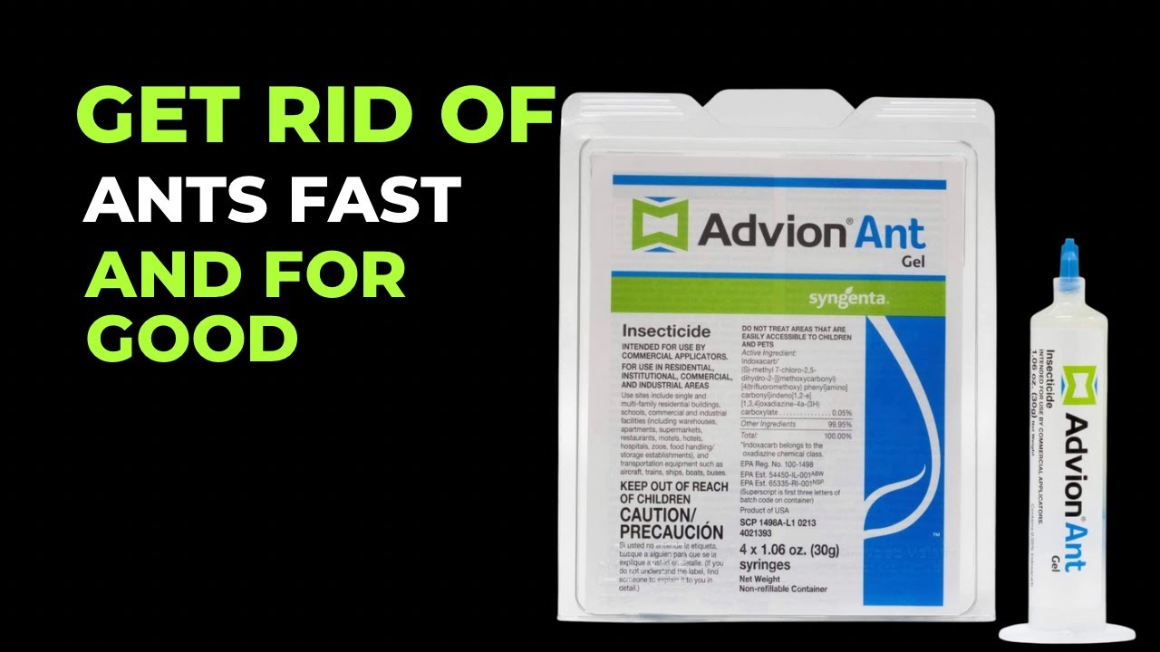 advion ant gel review - YouTube