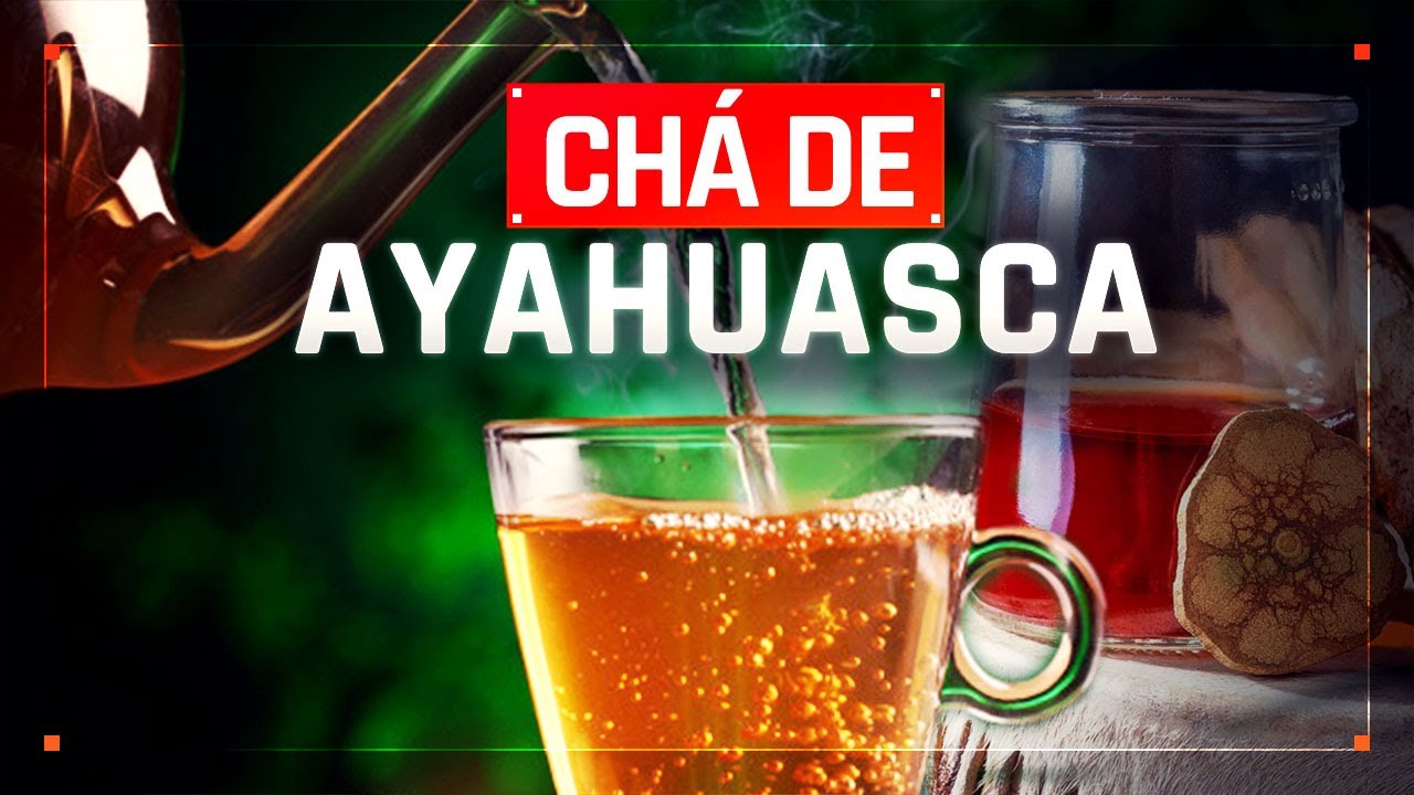 AYAHUASCA, O CHÁ DO SANTO DAIME - EXPLICAÇÃO CIENTÍFICA - YouTube
