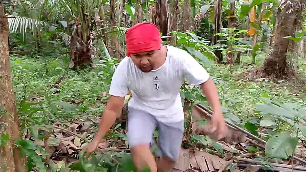 Kabuang # 1: Kawatan og Lansones - YouTube