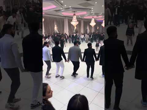 Grup HAN zivkıro çepki paris halay govend grani şewko