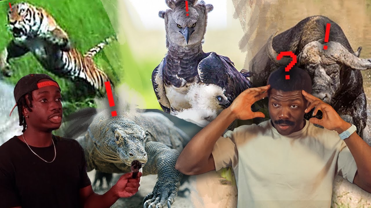 10 Most Disturbing Ways Animals Can Hunt You | The Chill Zone Reacts ...