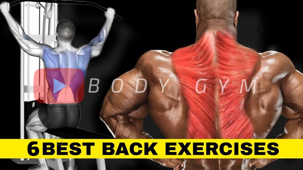 6best back exercises:lower lats workout:back workout - YouTube