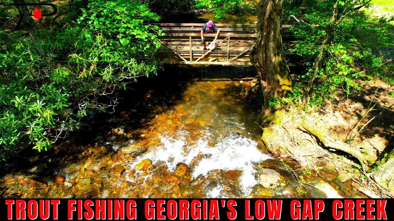Trout Fishing Georgia's Low Gap Creek - YouTube