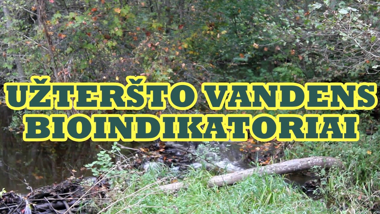 Užteršto vandens bioindikatoriai - YouTube