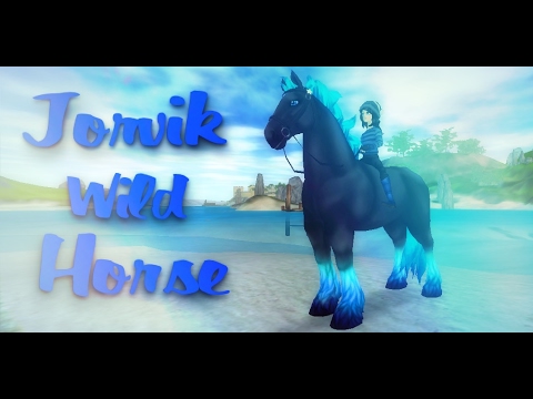 Jorvik Wild Horse - SSO - YouTube