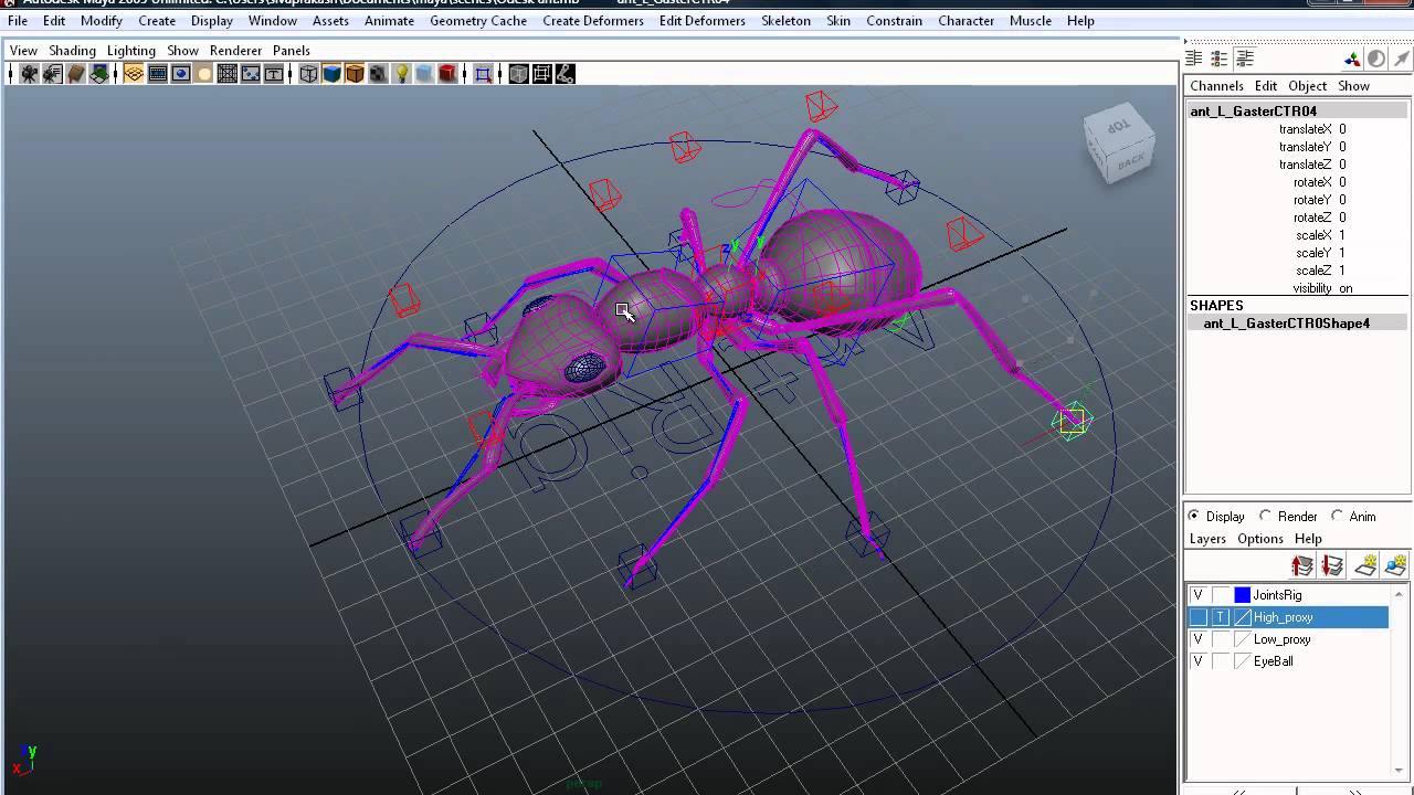 ant rig.mp4 - YouTube