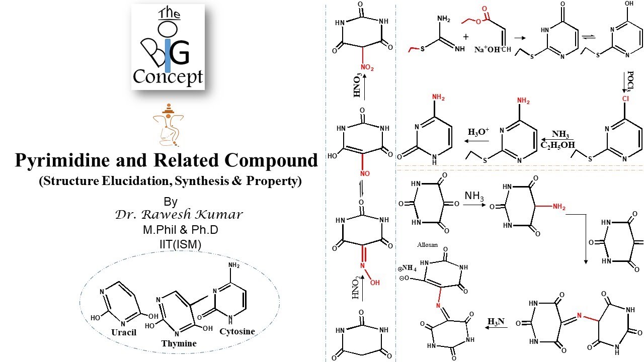 Pyrimidines & Related compounds (Structure Elucidation, Synthesis ...