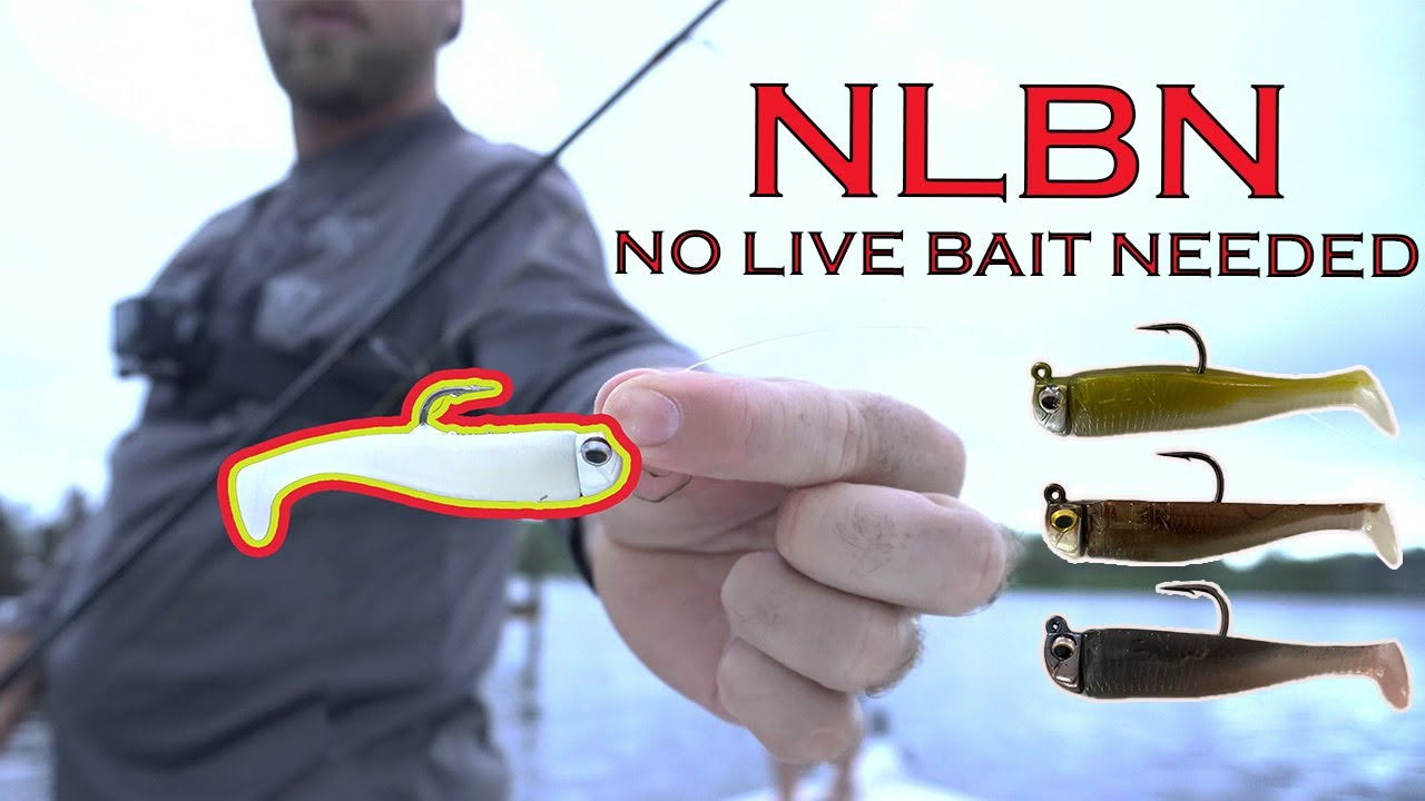 So many SNOOK fishing with ONLY NLBN (No Live Bait Needed) - YouTube