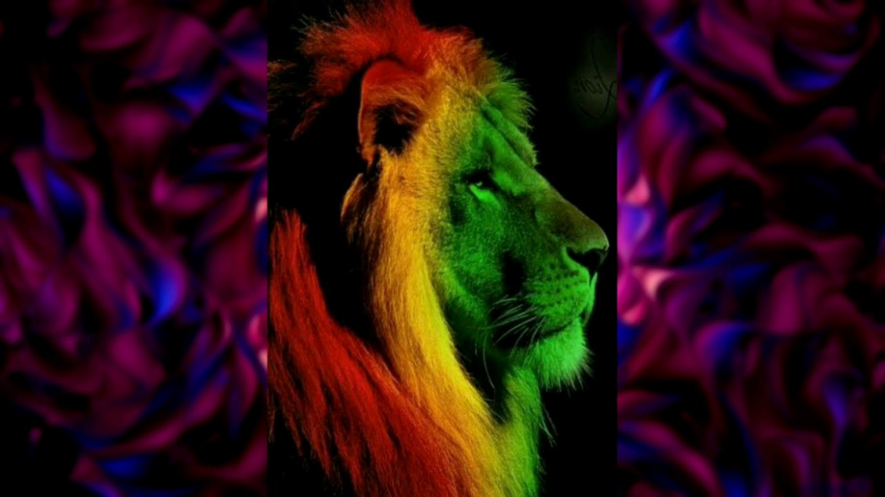 Rebelution-Roots Reggae Music [NATURAL MUSIC] - YouTube