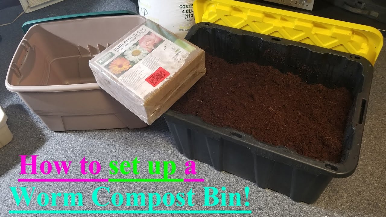 How to make a worm bin for composting inside. Setup and introducing ...