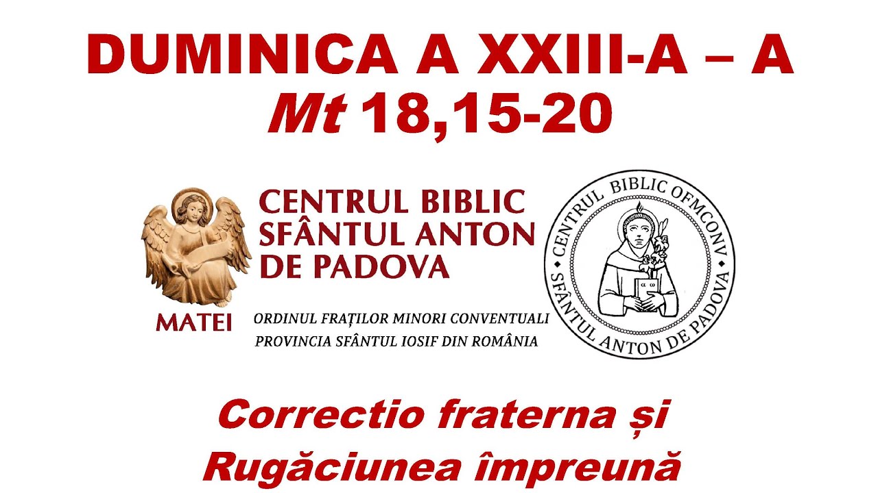 Duminica a XXIII-a, Anul A, Mt 18,15-20, Correctio fraterna și ...