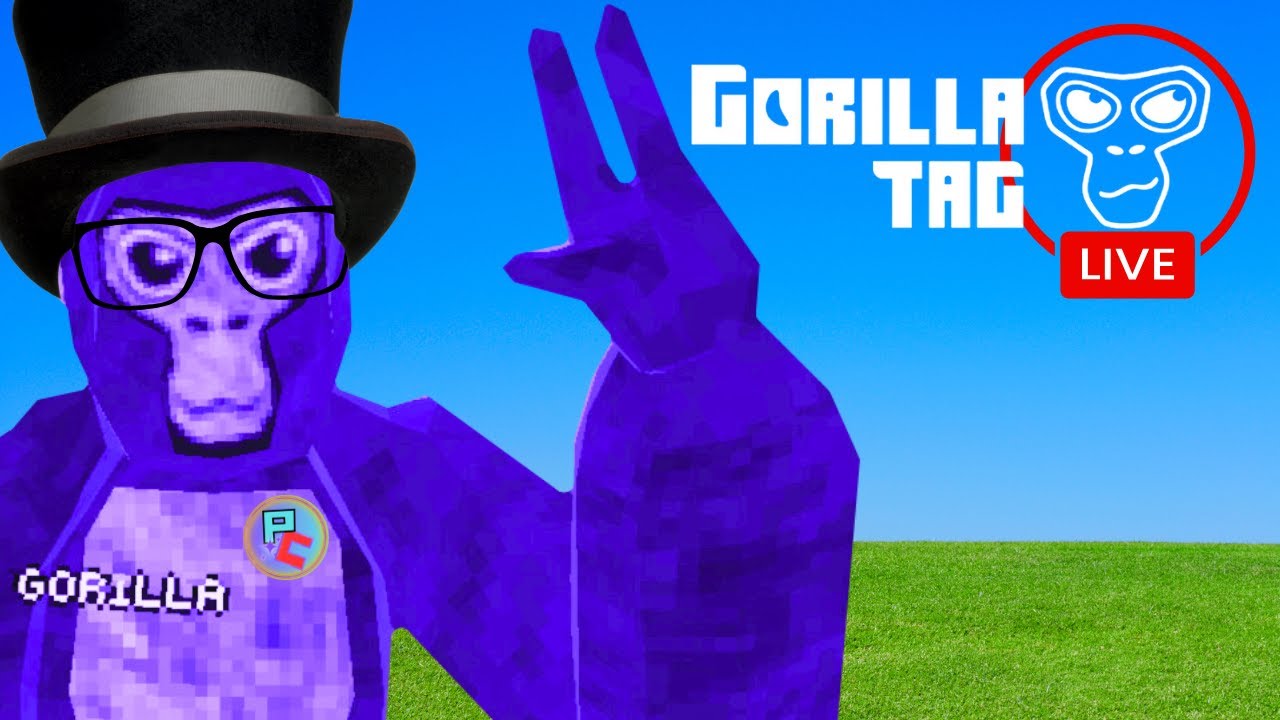GTAG STREAM WITH NEW VISUALS! #GTAG #GORILLATAG #PLAYEDCRAFT #VR - YouTube