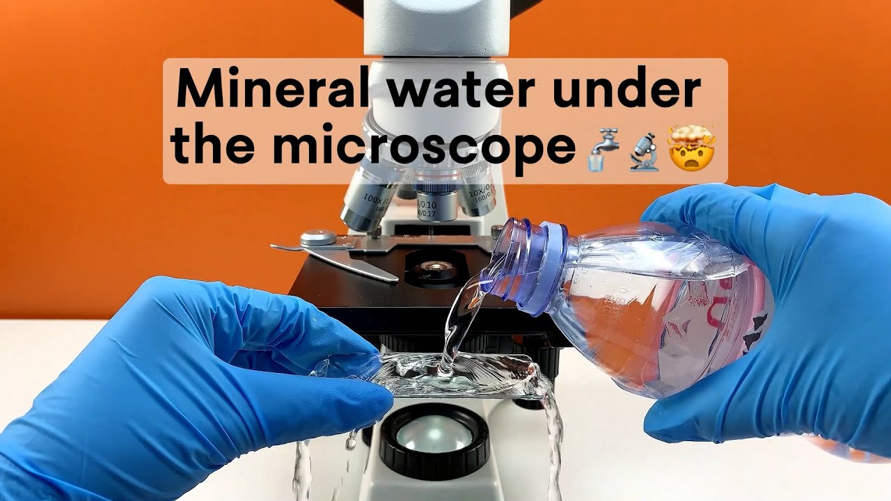 Would you still drink mineral water after seeing it magnified 400 times ...
