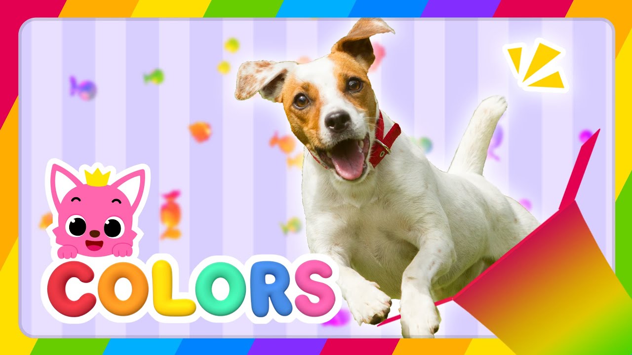 [NEW!] Learn Colors with Colorful Dogs | 🎁Surprise Box | Colors for ...
