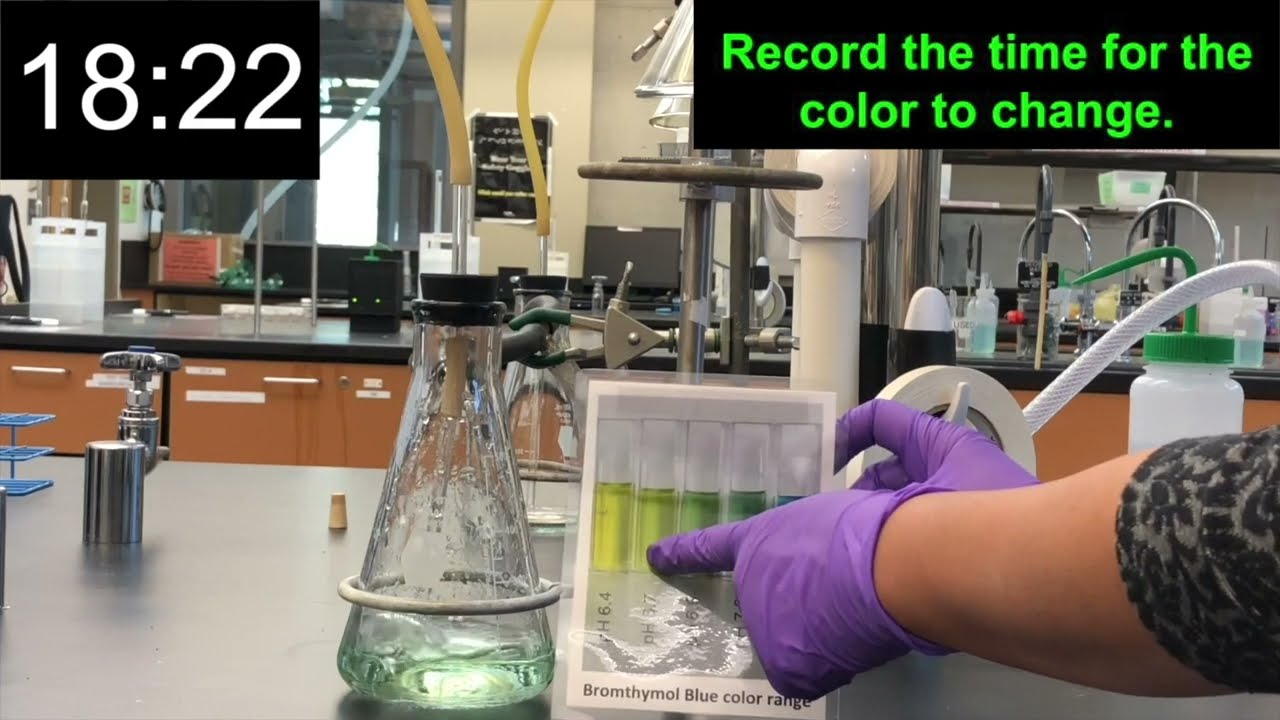 CHEM 110 Lab - Measuring carbon dioxide levels - YouTube