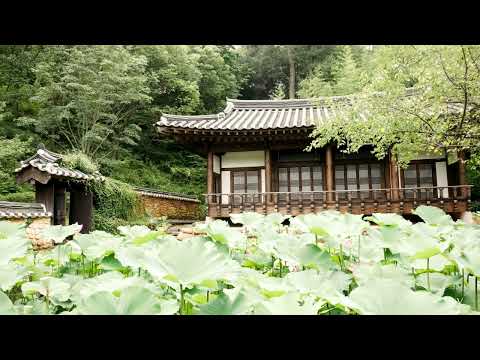 2-minute Nature Break: 4k Korean Lotus Pond, Traditional House, Green Trees