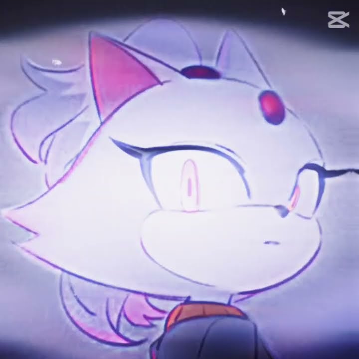 Edit Blaze the cat - YouTube