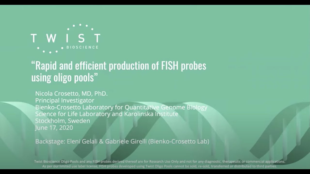 Rapid and efficient production of FISH probes using Oligo Pools ...