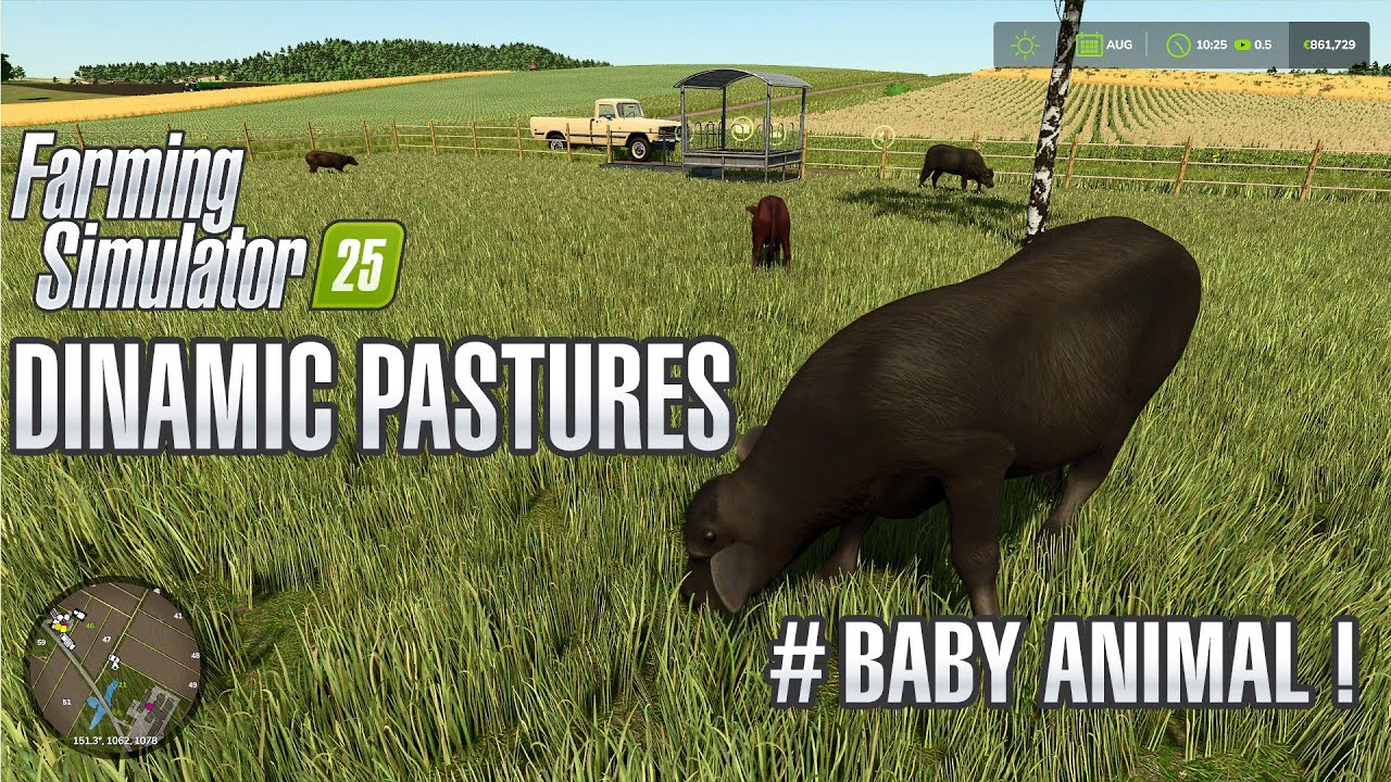 FS25: Dynamic Animal Pastures & Adorable Baby Animals Revealed! - YouTube
