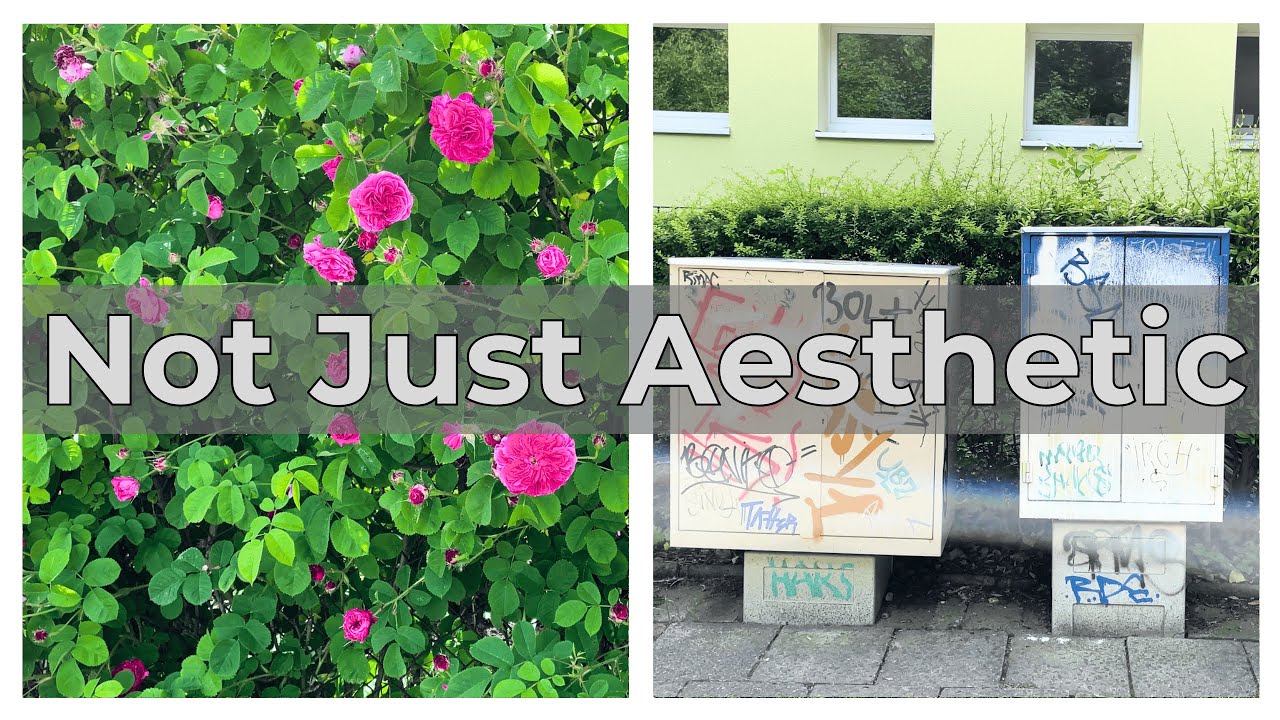Why Slow Living Isn’t Just Aesthetic | Honest Moments from Real Life ...