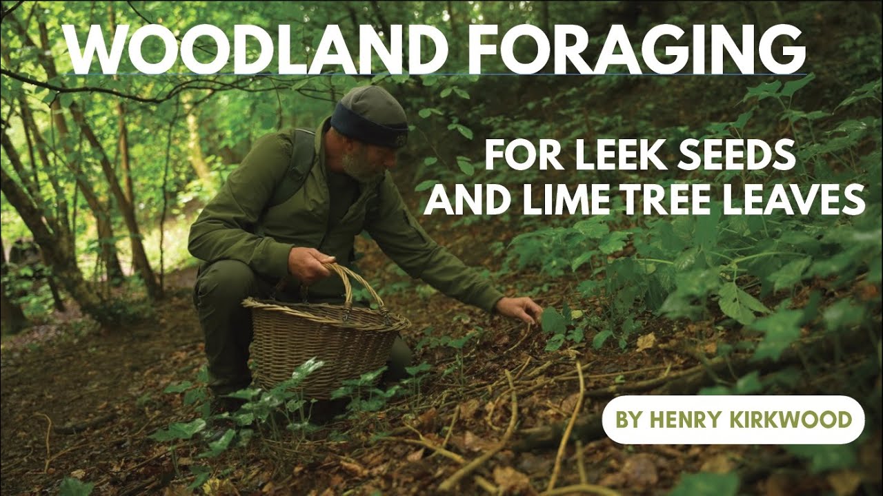 Foraging for leek seeds and lime tree leaves - YouTube