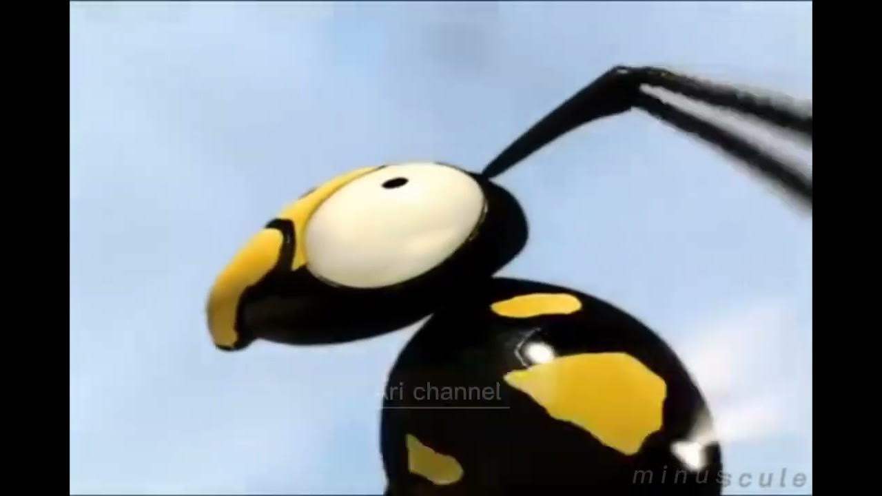 minuscule - best of chase/best of course poursuite - YouTube