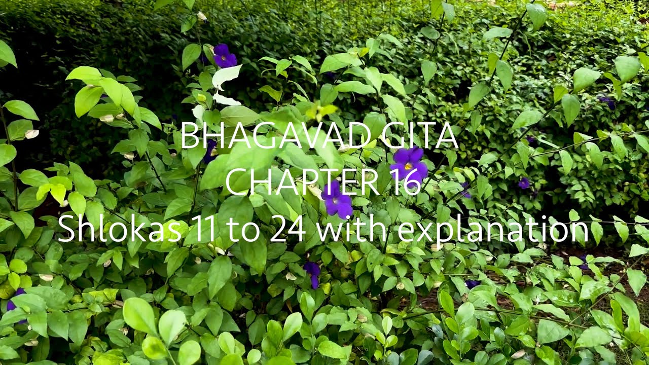 Bhagavad Gita Chapter 16 Shlokas 11-24 | Daivasura Sampad Vibhaga Yoga ...