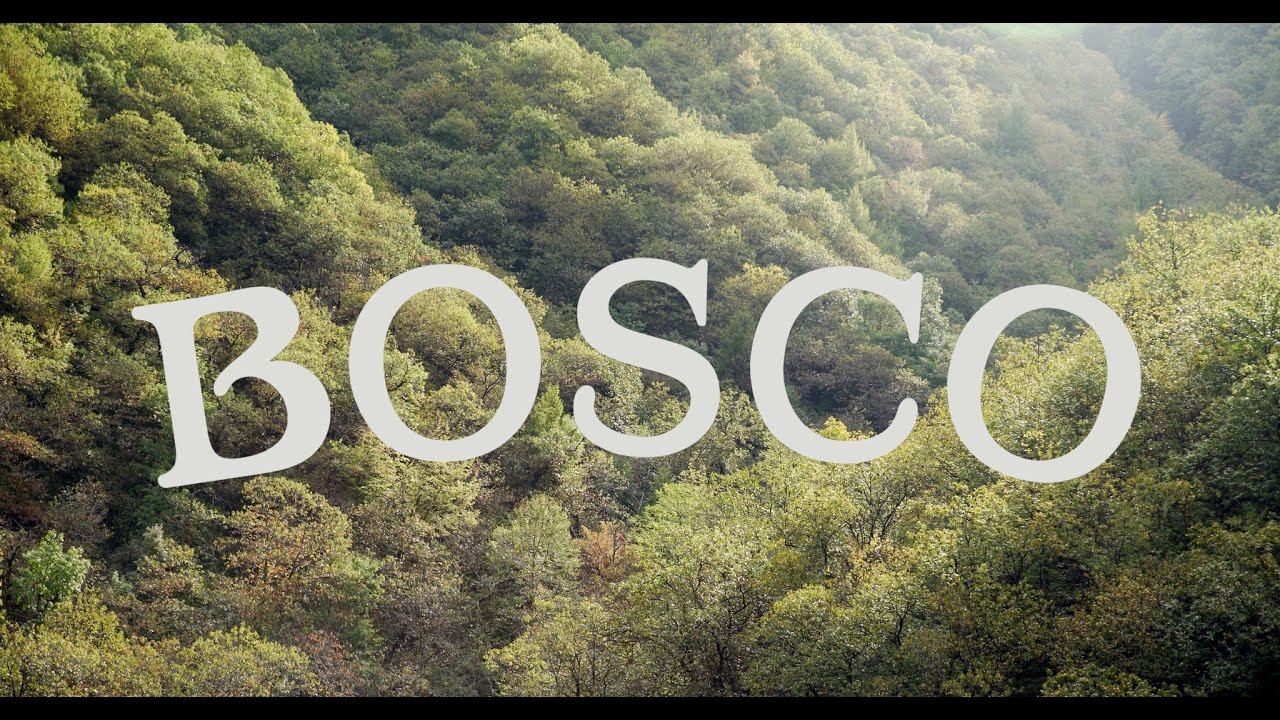 Bosco trailer italiano - YouTube