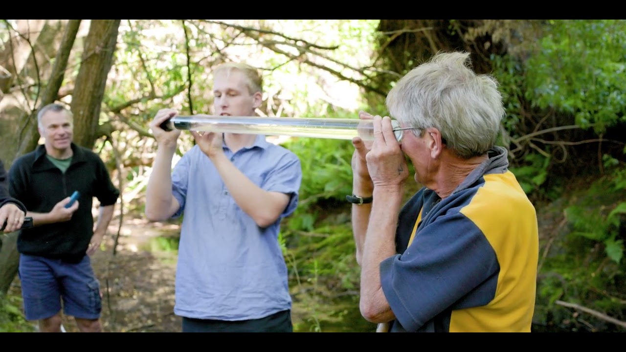 HDLG Stream Assessment Walk - YouTube