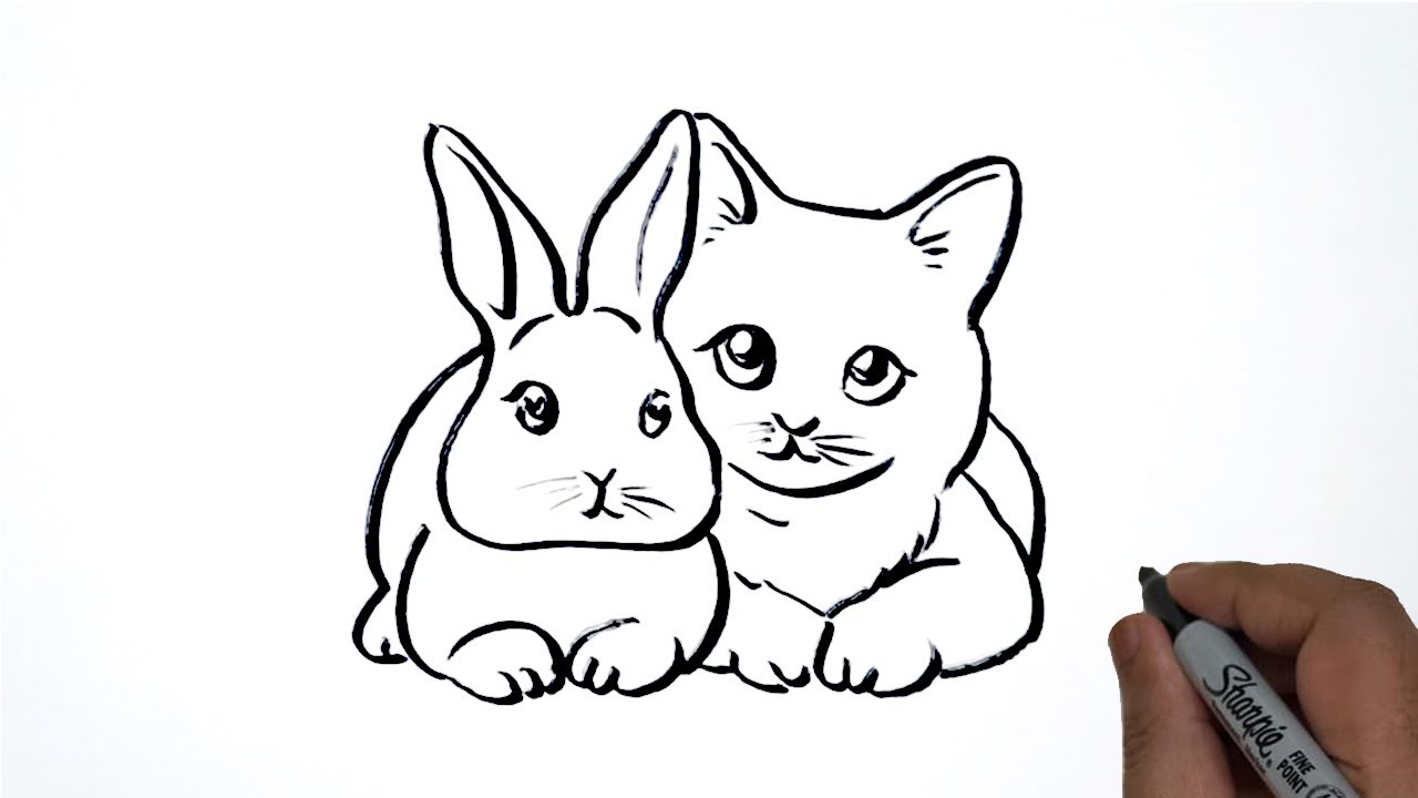 Drawing Cat and Rabbit Friendship - YouTube