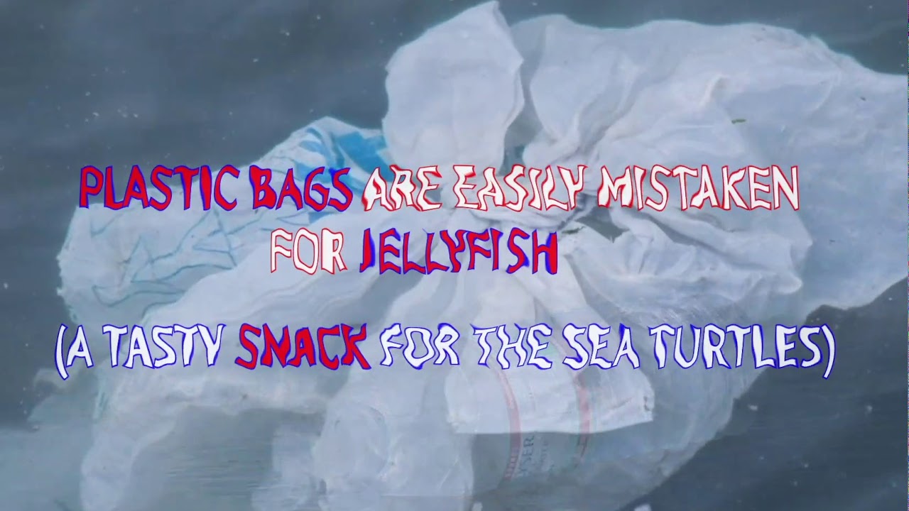 Ocean Pollution PSA Final - Motion Graphics Project - YouTube