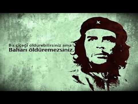 SOLCULARIN SÖZLERİ