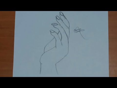 How to draw a hand for beginners( marwa draw)