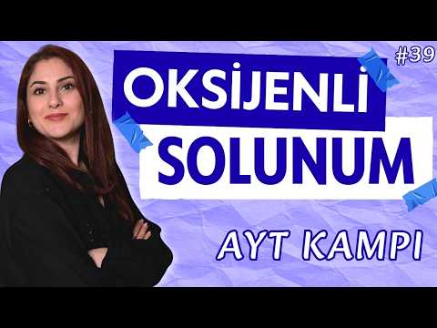Oksijenli Solunum #39 - AYT 2026
