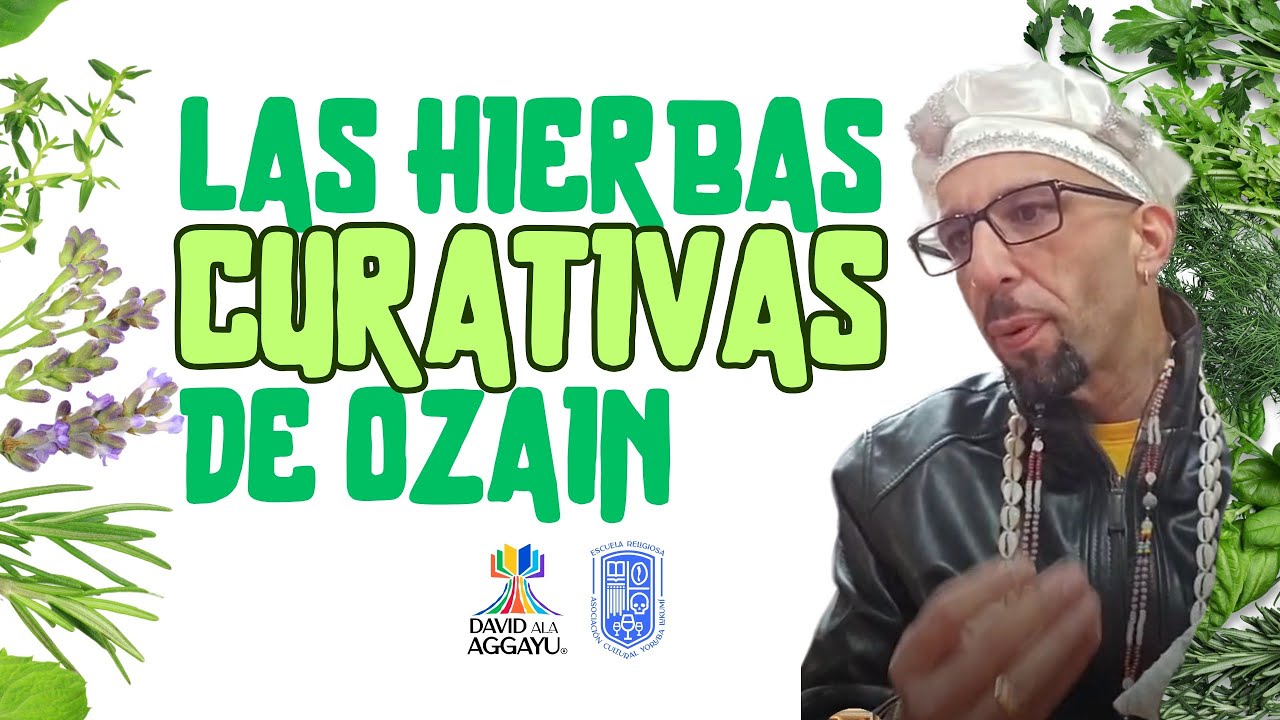 HIERBAS CURATIVAS DE OSAIN - YouTube
