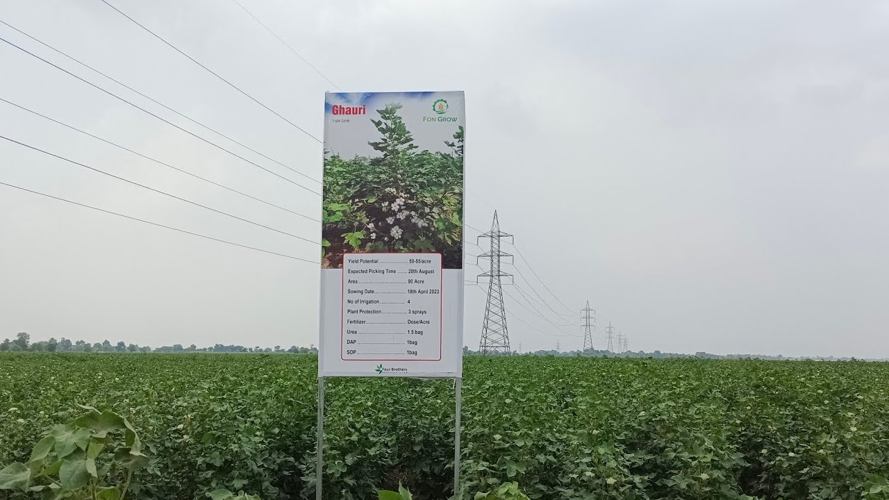 Pakistani army start corporate farming in punjab | How to do efficient ...
