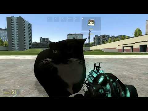 [Gmod] - New Maxwell The Cat Addon - YouTube