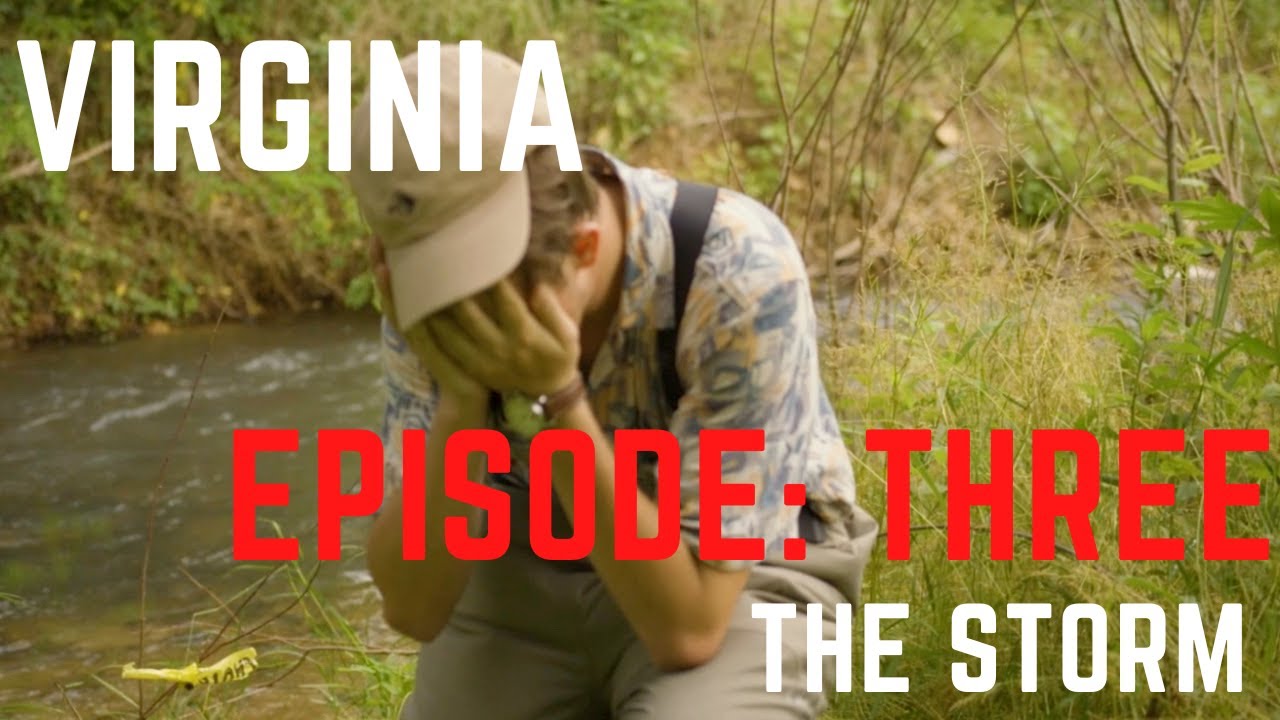The Pursuit of The Wild Rainbow Trout! VIRGINIA EP 3 - YouTube