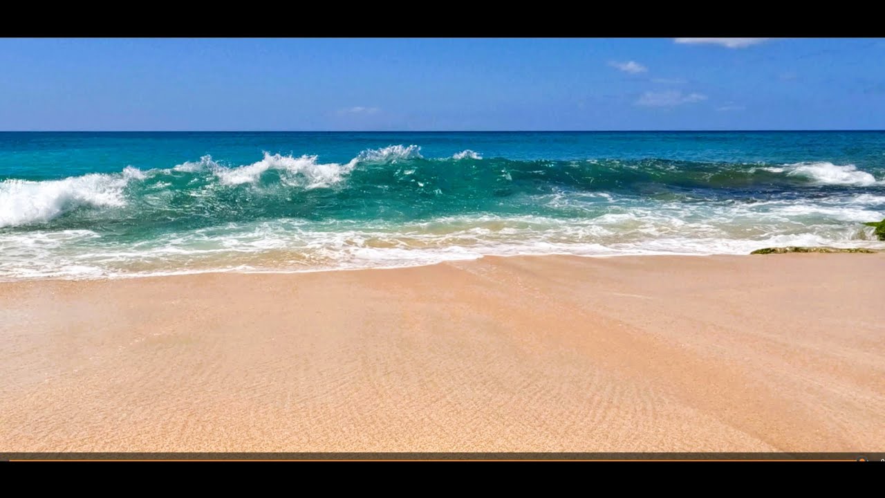 Beach Day! Toes in the sand, breathe deep, relax, go where the blue ...