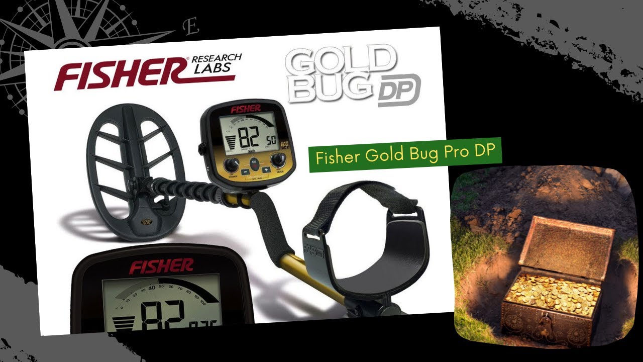 Fisher Gold Bug Pro DP Metal Detector : Introducing The Best Metal ...