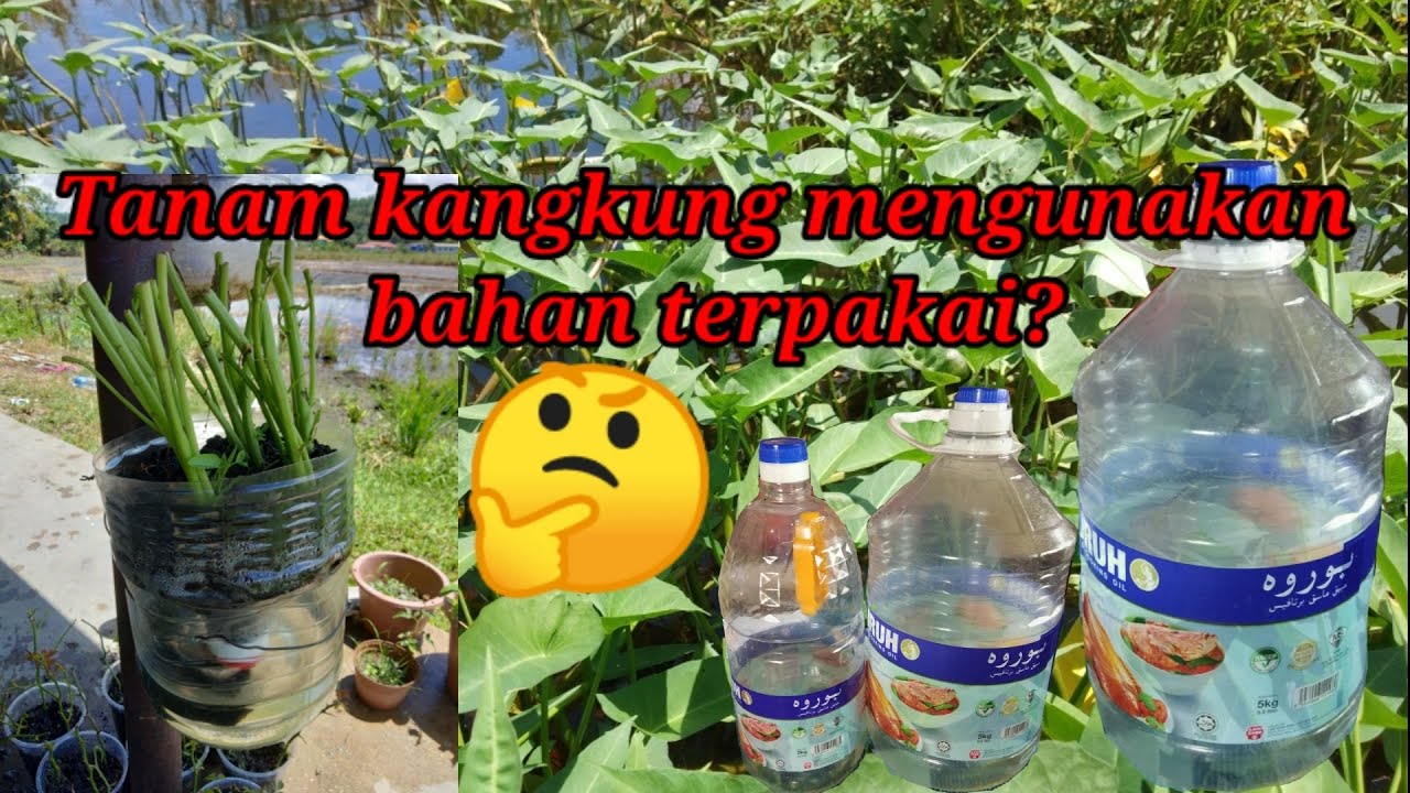Cara-cara membuat pasu dengan bahan terpakai - YouTube