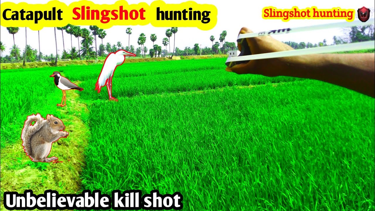 catapult slingshot hunting/@SlingshotHunting /bushcraft/#slingshot ...