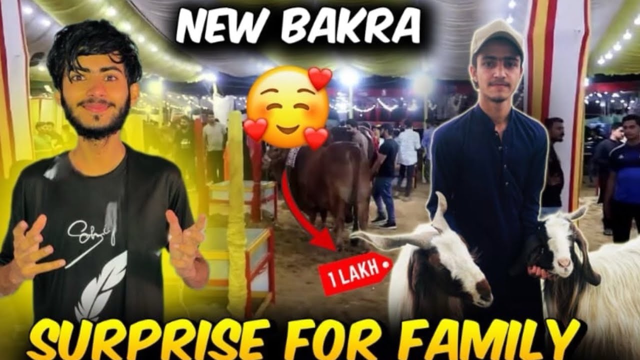 "Surprise for Family “New Bakra” 😍 || Mama got Emotional😭 || Kabeer ...